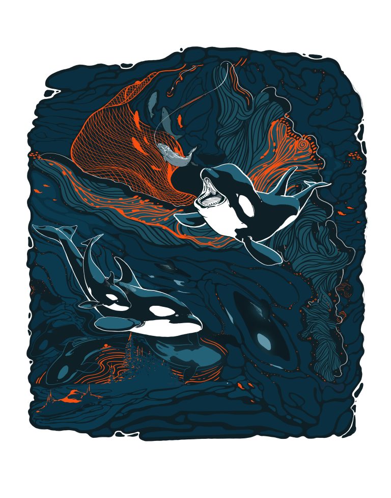 The Southern Residents | Current Conservation