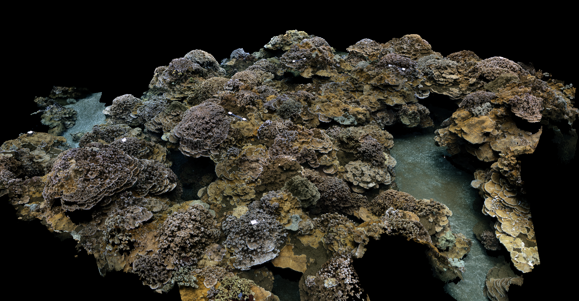 How can we make new conservation technology more accessible? | Current ...