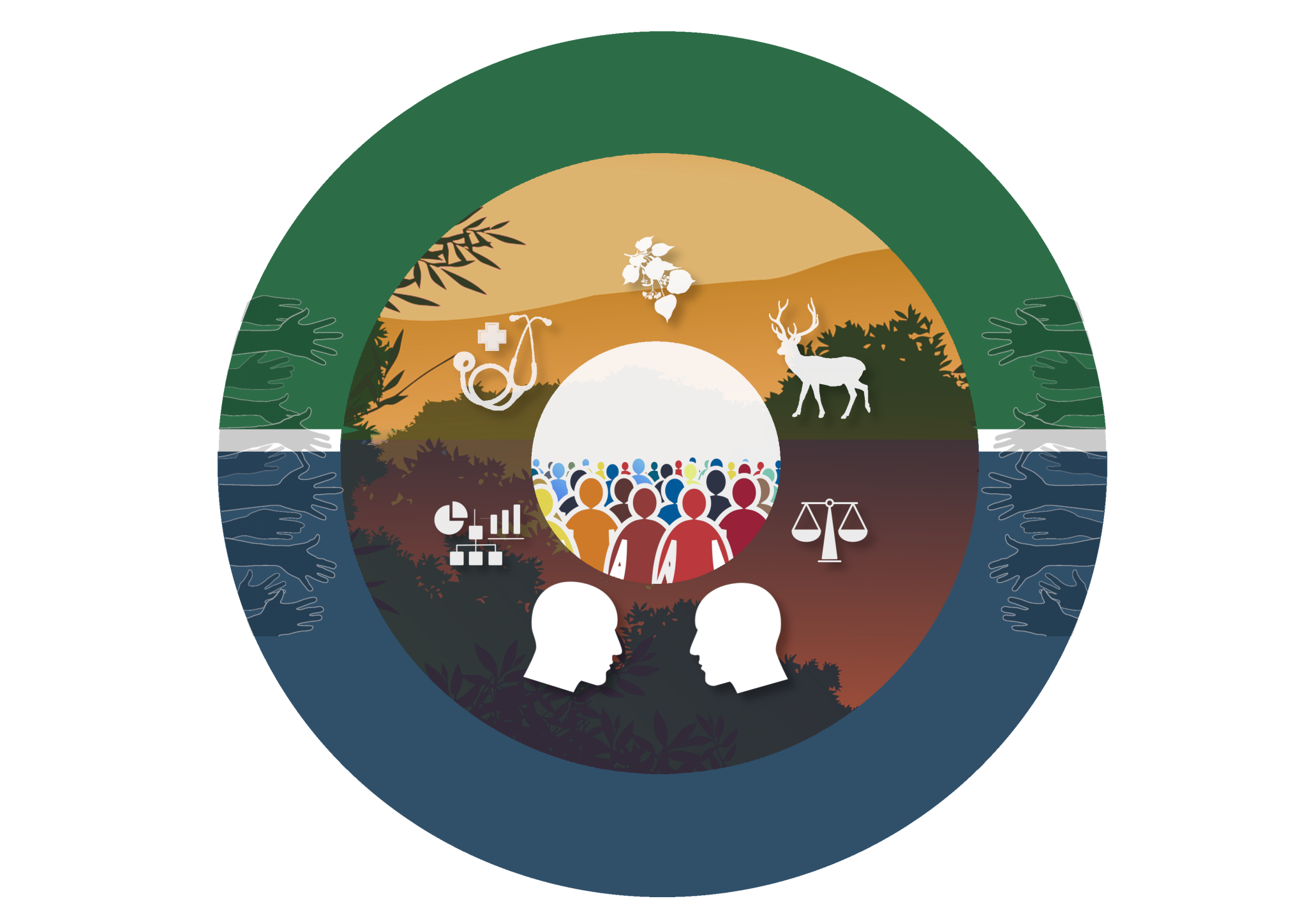 Why democratic efforts matter in managing forests and our health ...