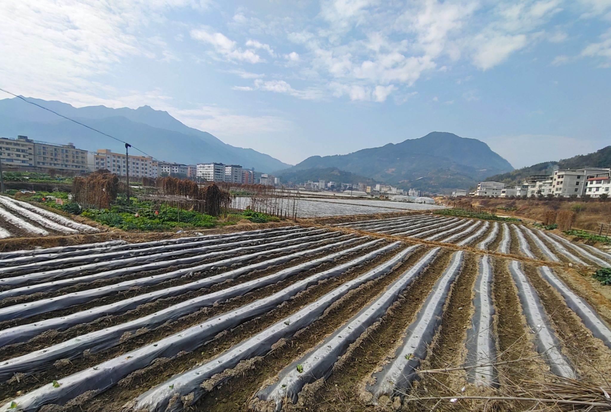 Managing cropland fragmentation for environmental and economic benefits ...