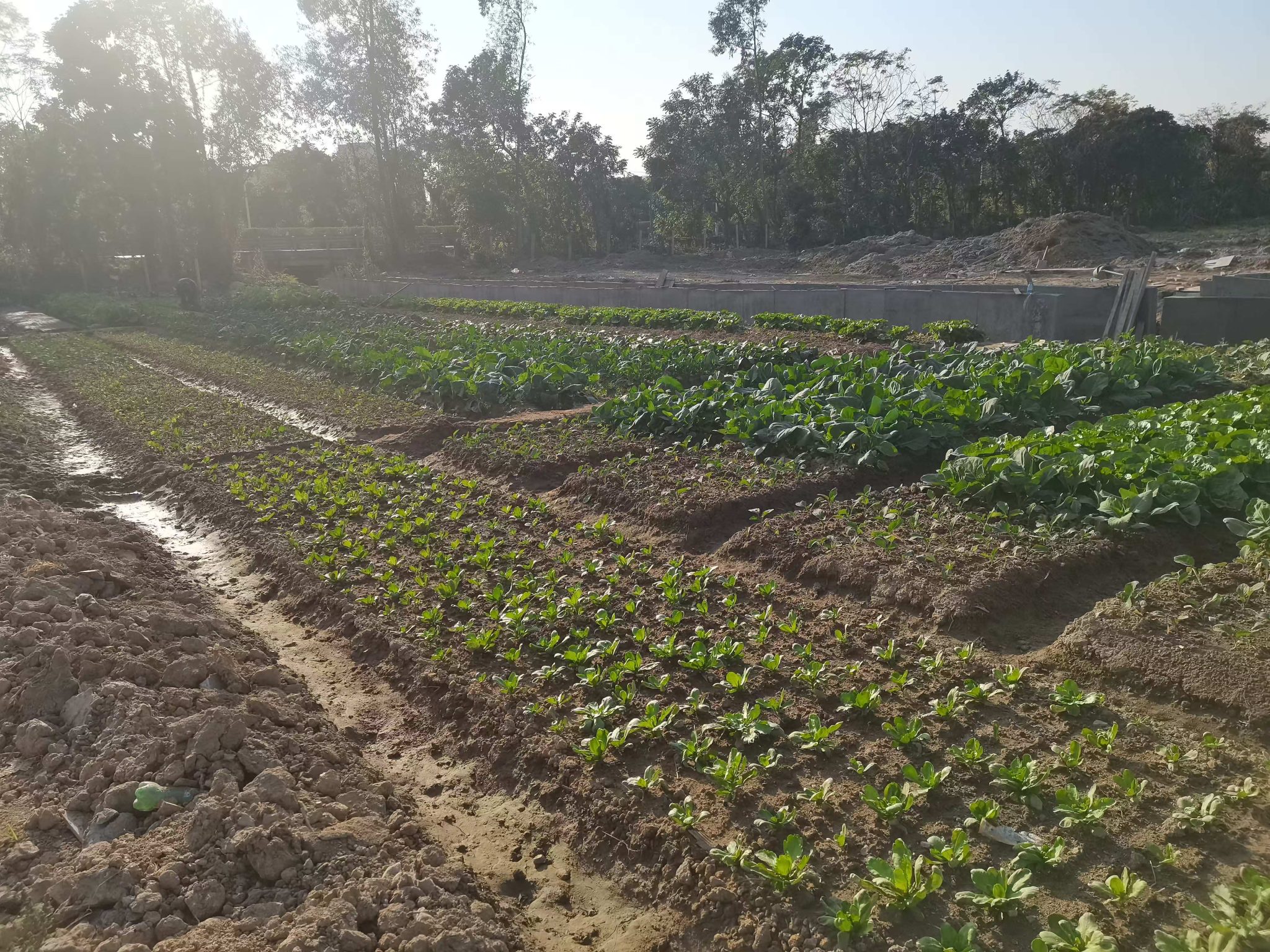 Managing cropland fragmentation for environmental and economic benefits ...