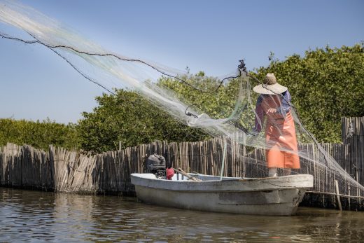 Current Conservation Communicating Latest Research Concepts From Both