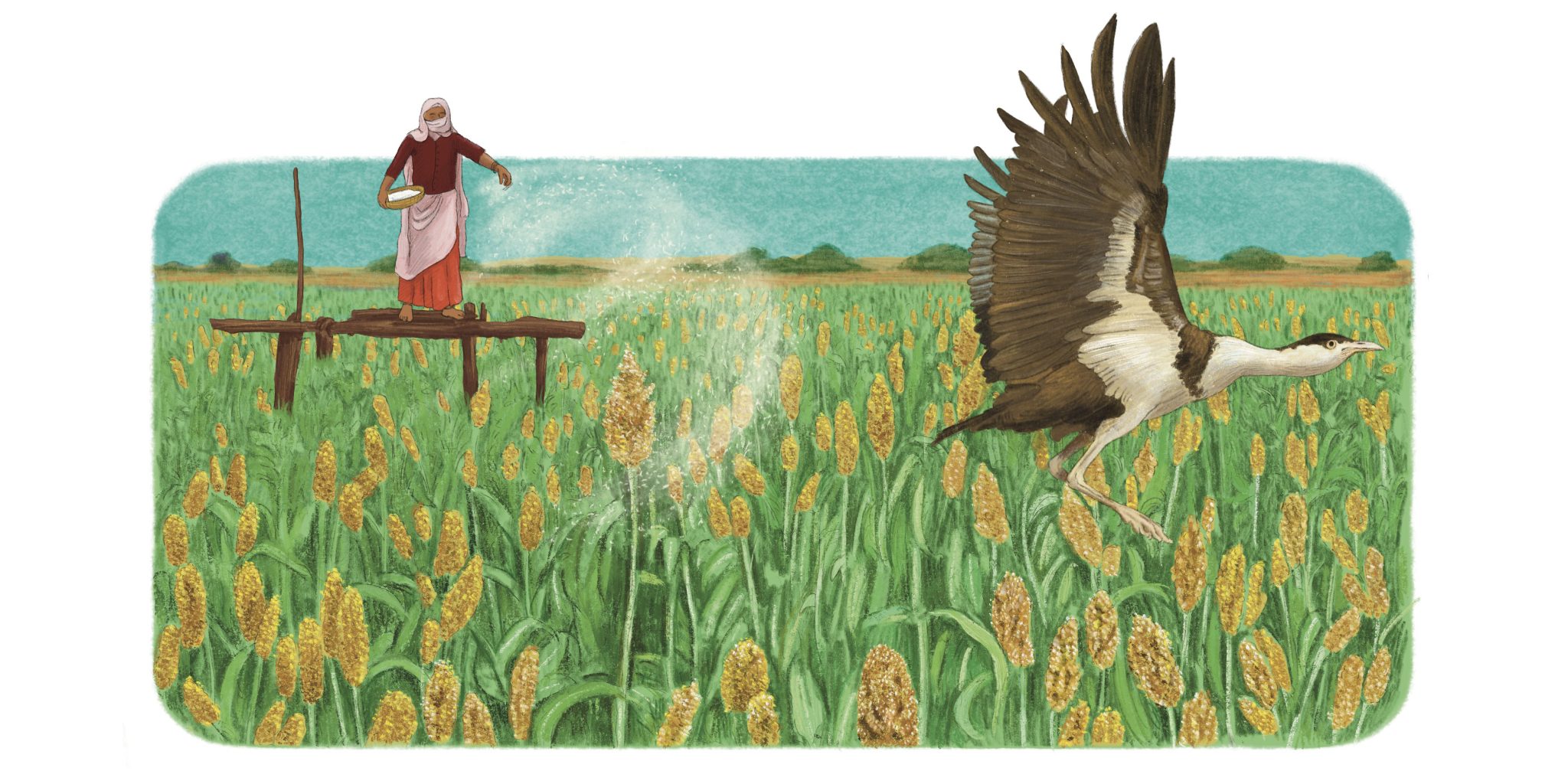 What Is Conservation The Struggle Over Boundaries And Definitions