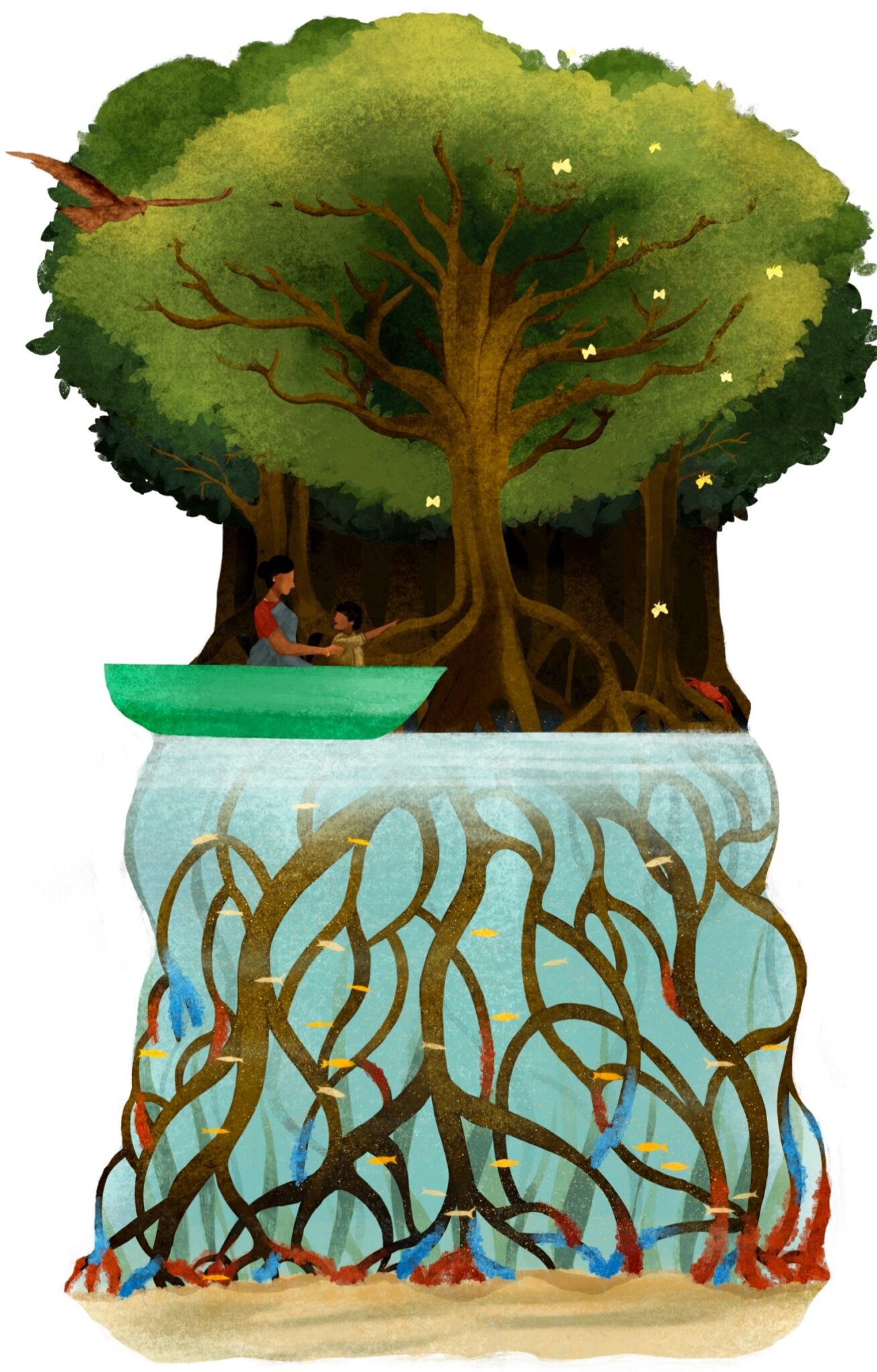 Shifting shorelines and changing tides: A mangrove story | Current ...