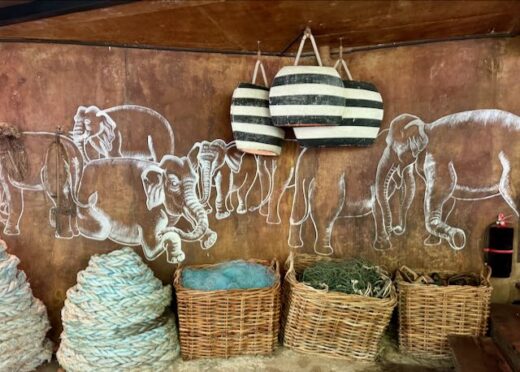 tripping the snare | Current Conservation