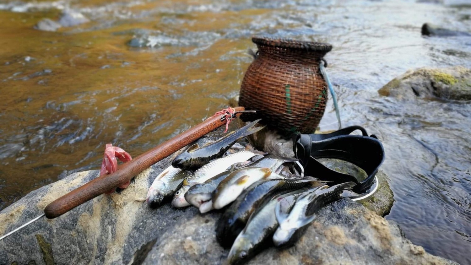 why inland fisheries matter for social justice | Current Conservation