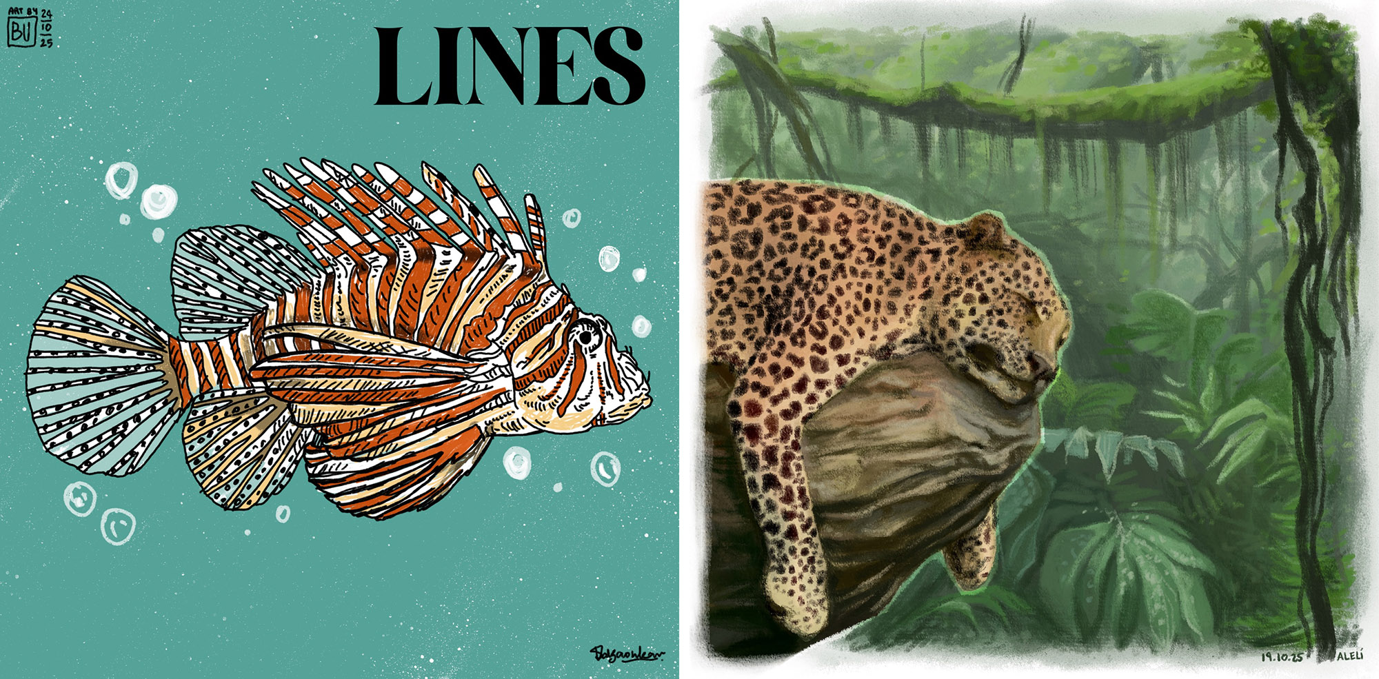 Where art meets nature: A daily drawing challenge | Current Conservation