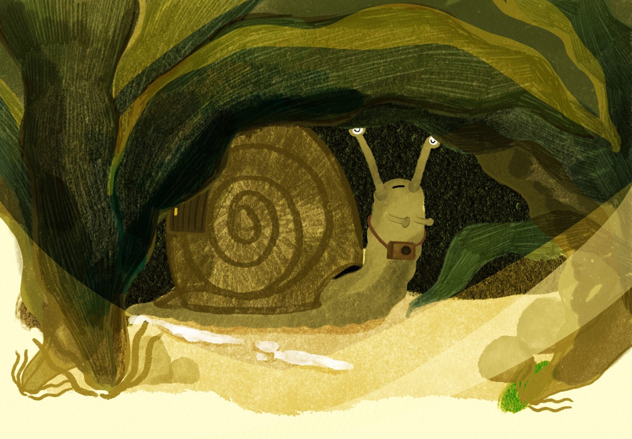 The Little Trail of Gary the Snail | Current Conservation