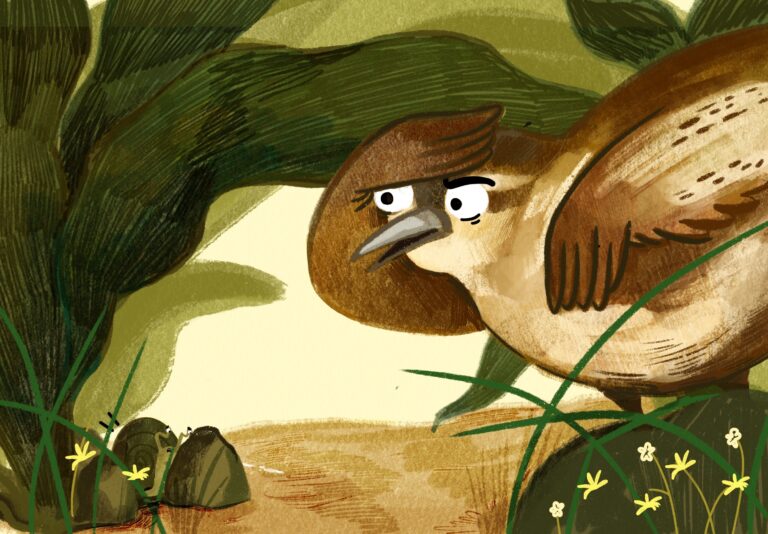 The Little Trail of Gary the Snail | Current Conservation